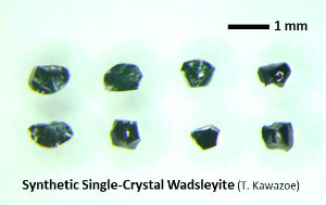 High-Pressure Synthesis of Wadsleyite, Ringwoodite, Bridgmanite, etc.