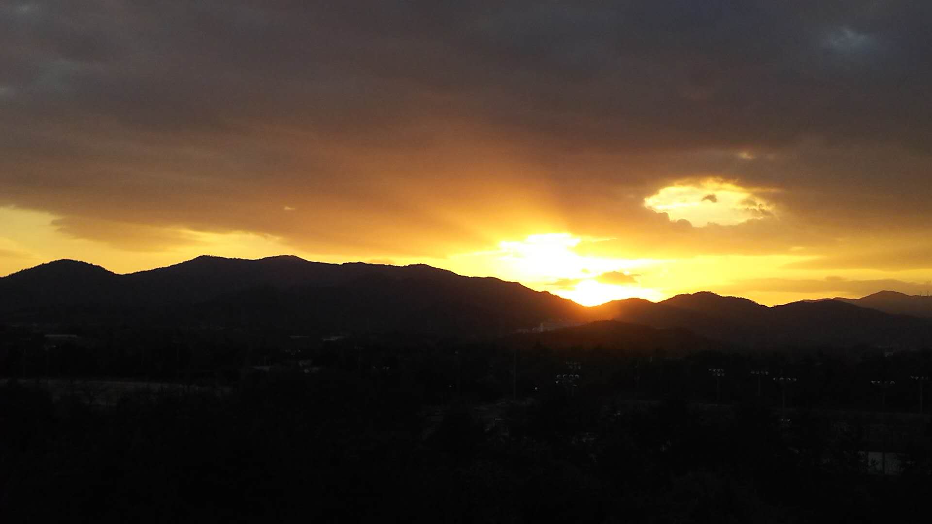 Mobilities and Urban Policy Lab (Junyi Zhang's Lab) – Transdisciplinary Science and Engineering ...